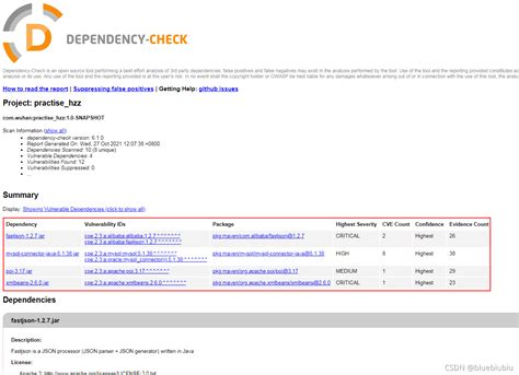 Dependency Check工具的使用dependencycheck使用bluebiubiu的博客 Csdn博客