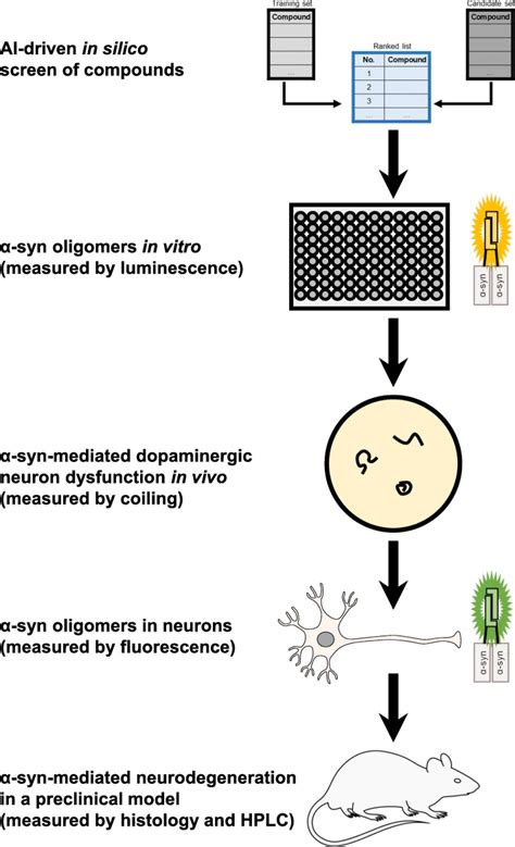 Small Molecule Inhibitors Of α Synuclein Oligomers Identified By