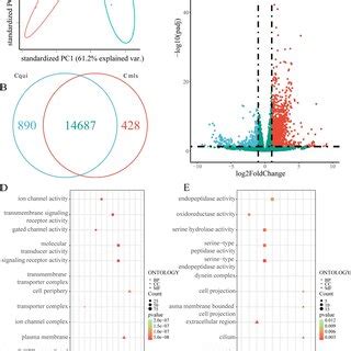 A Principal Component Analysis Of The Antennal RNA Seq Data Of Cqui And