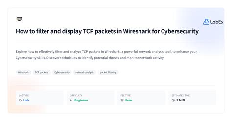 Wireshark 에서 Tcp 패킷 필터링 및 표시 방법 사이버 보안 강화 Labex