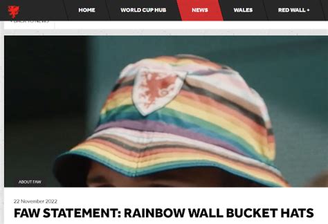 카타르 월드컵 Fifa 성 소수자 지지 의미하는 무지개 모자·깃발 사용 허용 아주경제