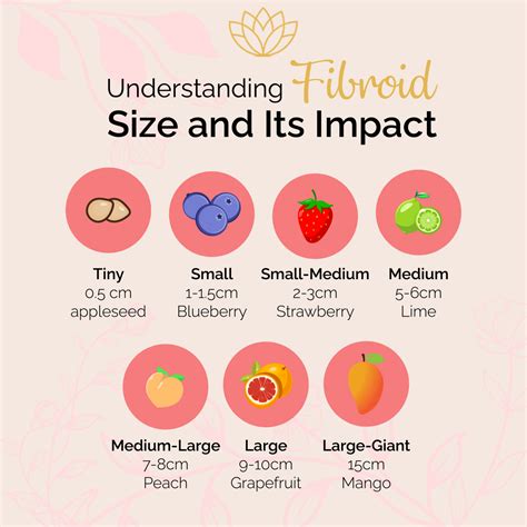 Understanding Fibroid Size And Its Impact Fibroid Treatment Clinic Understanding Fibroid Size And Its Impact Fibroid Treatment Clinic