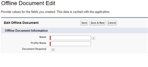 Creating A Custom Setting Record Salesforce Next Gen
