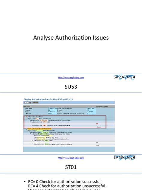Analyse Authorization Issues Pdf