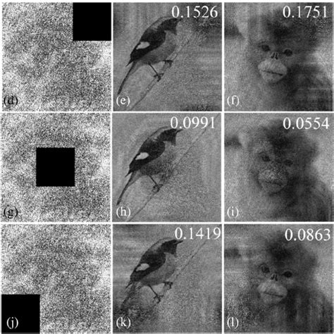 Robustness Against Occlusion Attack Ciphertexts With A 12 5 Occlusion Download Scientific