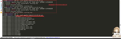 手把手教你在虚拟机linux中安装jdk和tomcat（yum方式）yum安装的tomcat怎么和本地的jdk关联 Csdn博客
