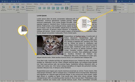 Sizing Handle In Word