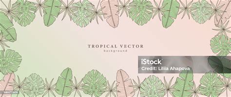 초록색과 옅은 분홍색 야자수 잎 몬세트라 잎이 있는 사진이나 텍스트에 대한 벡터 열대 배경 엽서 표지 명함 및 프리젠테이션의