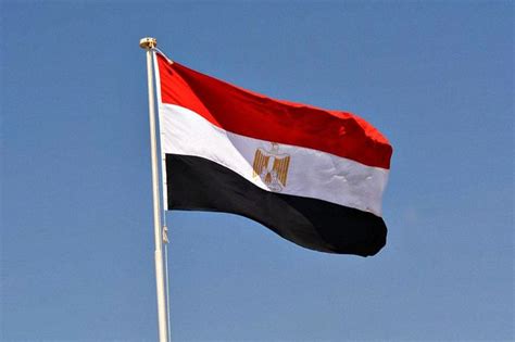 بمشاركة رؤساء تركيا وإيران تفاصيل استضافة مصر لـ قمة منظمة الدول