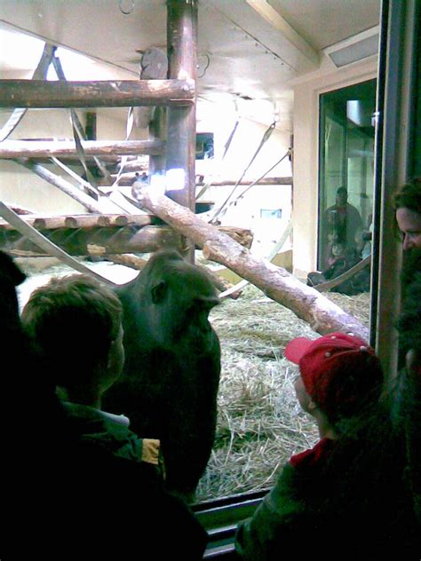 Staredown Unhandledexception And Krash Flickr