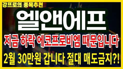 엘앤에프 주가전망 지금 하락 에코프로비엠 때문입니다 2월 30만원 갑니다 절대 매도금지 엘앤에프 엘앤에프주가전망