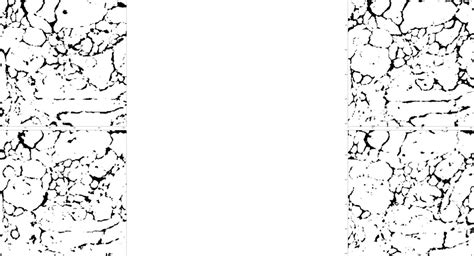 tao5 unet vs segformer tao toolkit nvidia developer forums