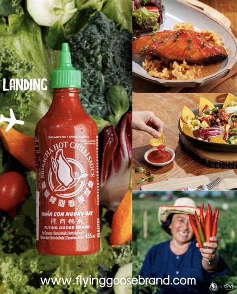 เอ็กโซติค ฟู้ด เปิดเมนูซอสห่านบิน กินคู่ โอ้กะจู๋