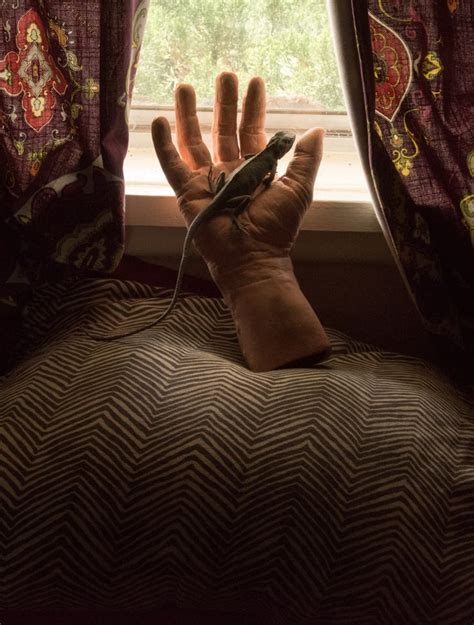 14 Bit Vs 12 Bit RAW Can You Tell The Difference