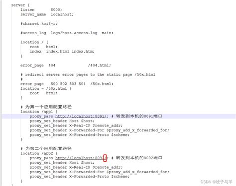 nginx代理本机多个端口应用 nginx代理多个端口 csdn博客