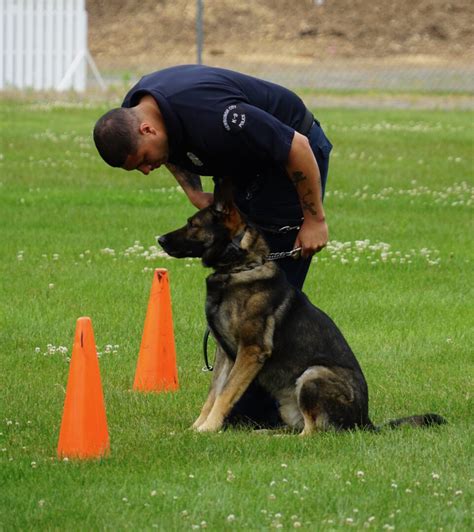 Uspca Region 7 Certification Trials Dogs Outside The Ring