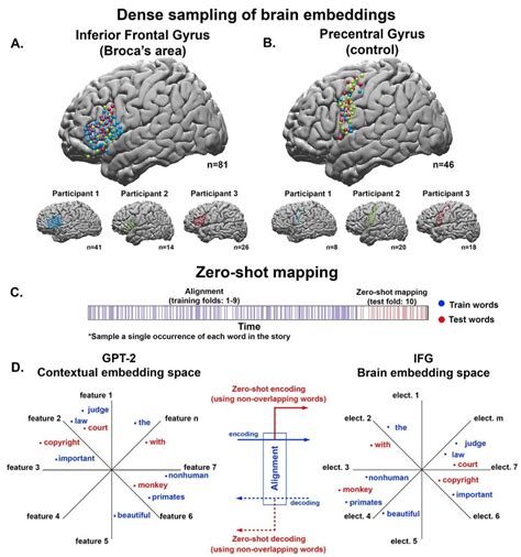 zero shot encoding and decoding analysis a dense coverage of the