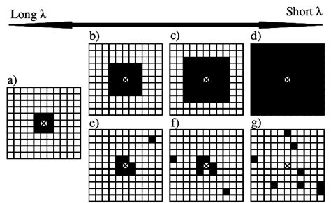 Schematic Diagram Of Representative Types Of Mating Neighborhoods For A Download Scientific
