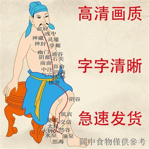 下殺人體十四經絡圖套圖中醫館掛畫十四張海報貼畫學生記穴位自粘高清 蝦皮購物