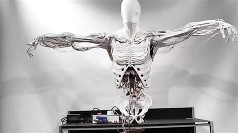 공중제비 돌고 쿵후까지신의 영역 넘보는 Ai 로봇 경쟁