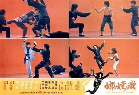 The Thundering Mantis Inspiration For Our Name Kung Fu Kung Fu Movies Wu Tang Collection