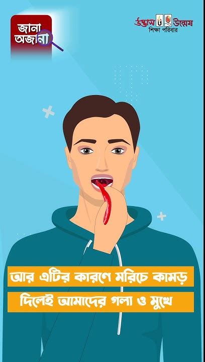 মরিচ কেন ঝাল লাগে Youtube