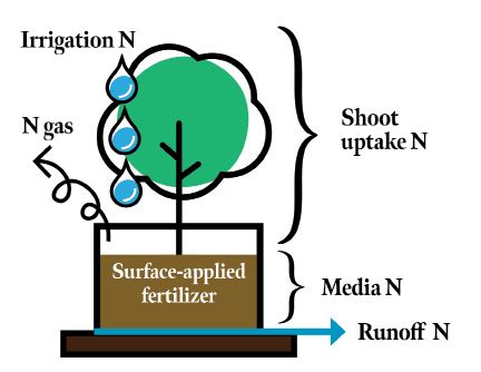 Nitrogen Fertilizer Runoff