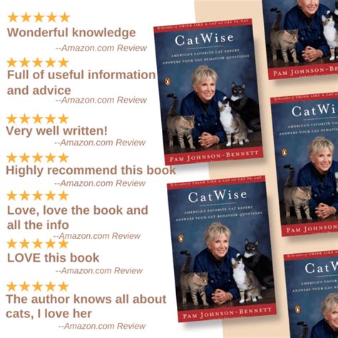 Catnip Why Cats React To Catnip