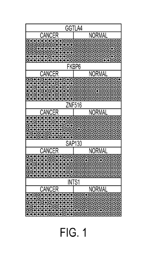 Hypermethylation Biomarkers For Detection Of Cervical Cancer Eureka Patsnap