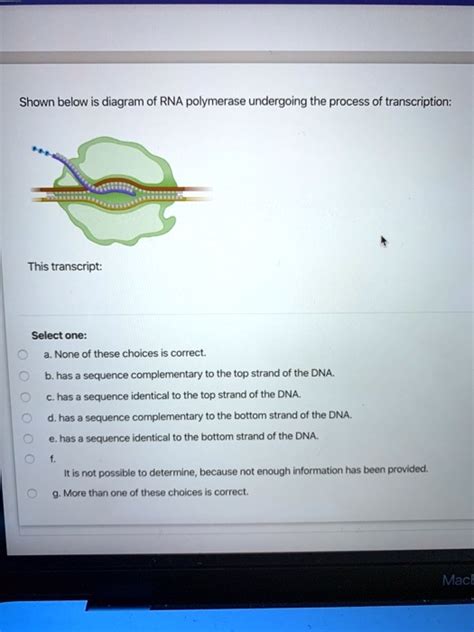 Solved Shown Below Is Diagram Of Rna Polymerase Undergoing The Process