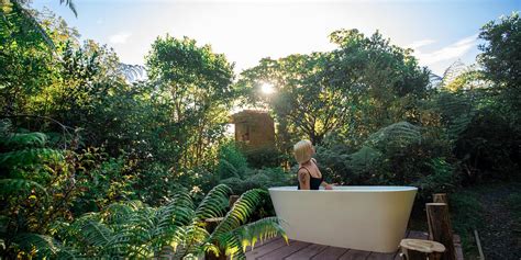 Treehouse With Beautiful Outdoor Bath Treehouse For Rent In Auckland NZ Riparide