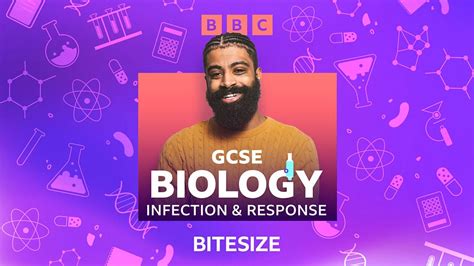 Podcasts Gcse Combined Science Bbc Bitesize