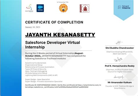 Jayanth Kesanasetty On Linkedin Experience Internship Salesforce Internshala