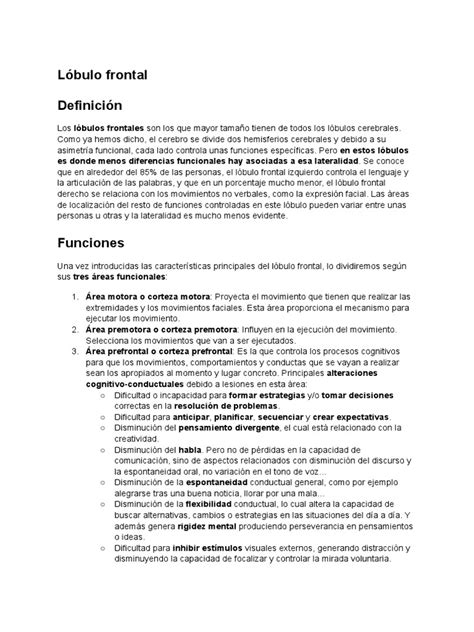 Lóbulo Frontal Pdf Cerebro Lóbulo Temporal