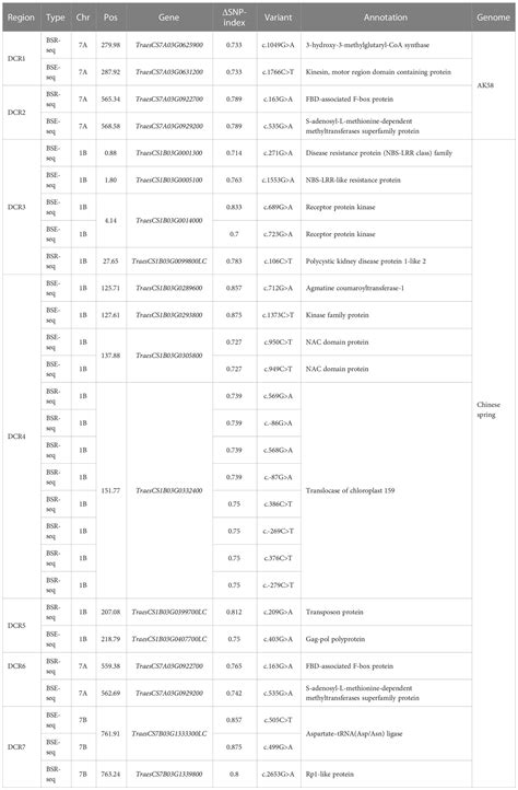 Frontiers Identification Of Candidate Gene For The Defective Kernel