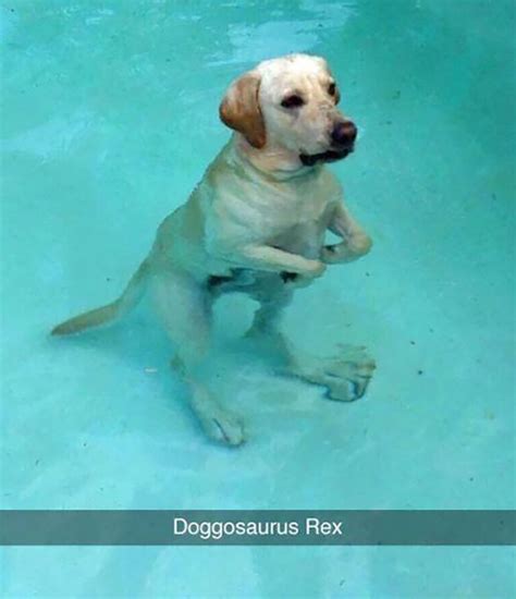 23 Of The Most Clever And Funny Snapchat Ideas Henspark Stories