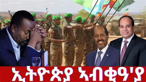 ኢትዮጲያ ኩነታት ኣይጠዓማን ወያነ ከምዘይትምለስ ተገሪፋ 11 10 2024 Youtube