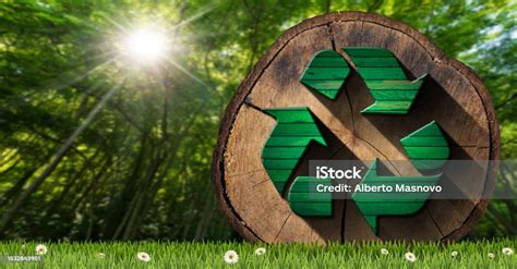 지속 가능한 자원 나무 재활용 기호가 있는 나무 줄기의 단면 0명에 대한 스톡 사진 및 기타 이미지 0명 갈색 개념 Istock