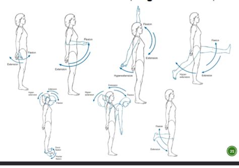 Kin 251 Unit 3 Kinematics Flashcards Quizlet