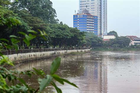 도시 공원 근처에 떠 다니는 쓰레기로 가득 찬 더러운 강의 전망 0명에 대한 스톡 사진 및 기타 이미지 0명 Capital Region 가계 Istock