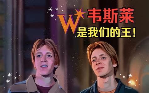 韦斯莱双子是霍格沃茨的王！《哈利波特与凤凰社》超详细原著解读！哈利波特电影与小说对比44 终不似儿 终不似儿 哔哩哔哩视频