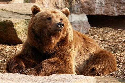 Notre Histoire Galaxie Peluche