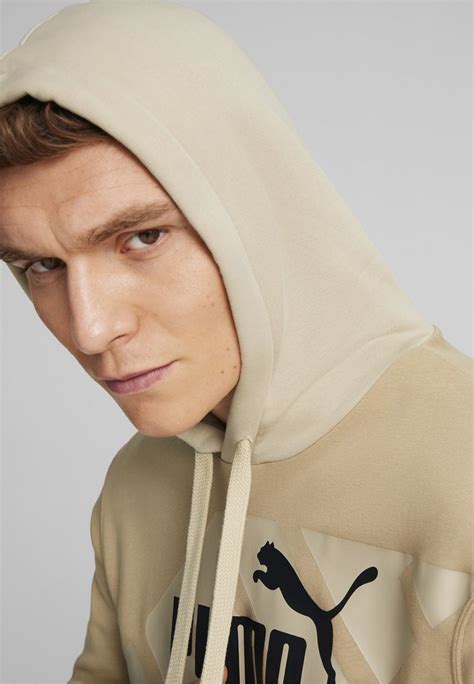 Puma Power Graphic Kapuzenpullover Prairie Tanbeige Zalandode