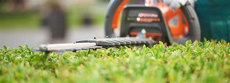 Dos And Donts Of Tree Trimming That You Need To Know Dreamworks