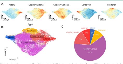 Figure 1 From Single Cell Transcriptomics Identifies Brain Endothelium
