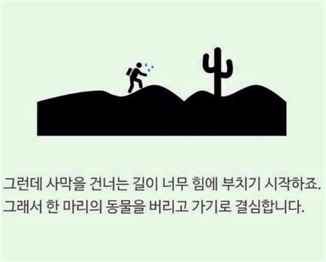 자신의 성향 심리테스트 인스티즈 Instiz 이슈 카테고리