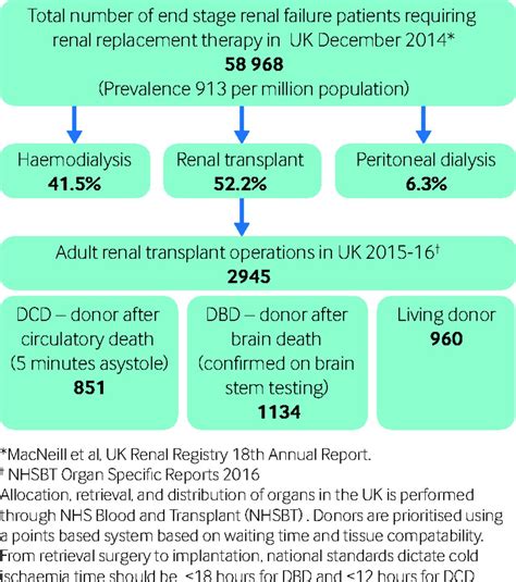 Cpt Codes Used For Renal Transplant At Kiara Vaux Blog