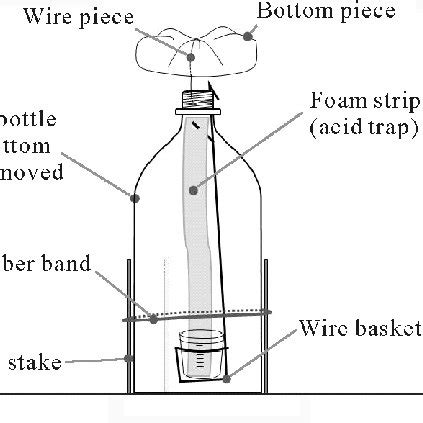 Scheme Of Sampling Of Ammonia NH 3 Volatilized After Urea Download Scientific Diagram