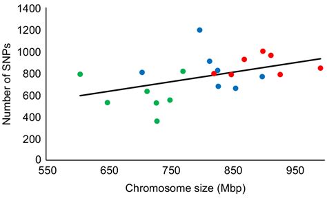 high throughput single nucleotide polymorphism genotyping reveals