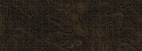 Topographic Map Patterns Topography Line Vector Image